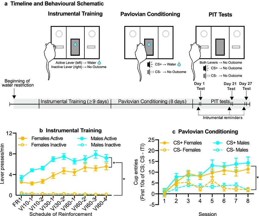 Ivan Pavlov's Theory
